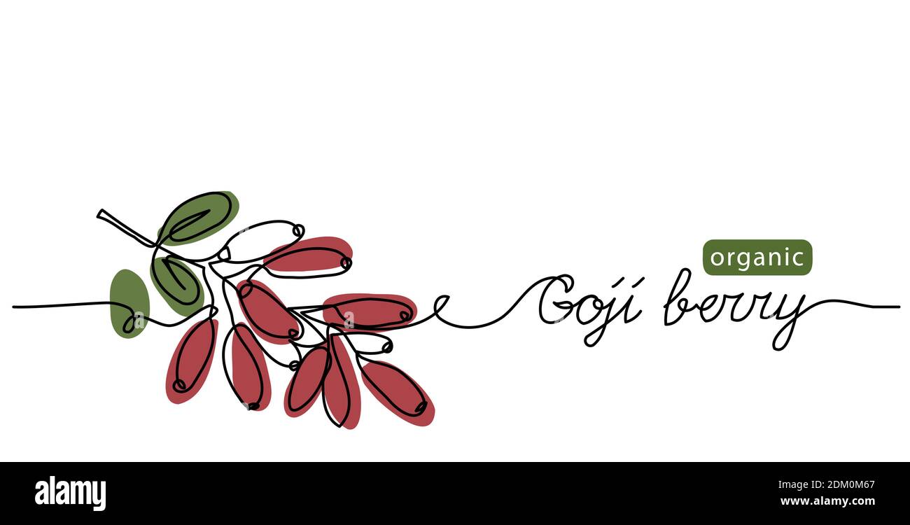 Goji berry branch vector illustration. Fresh ripe wolfberry sketch ...