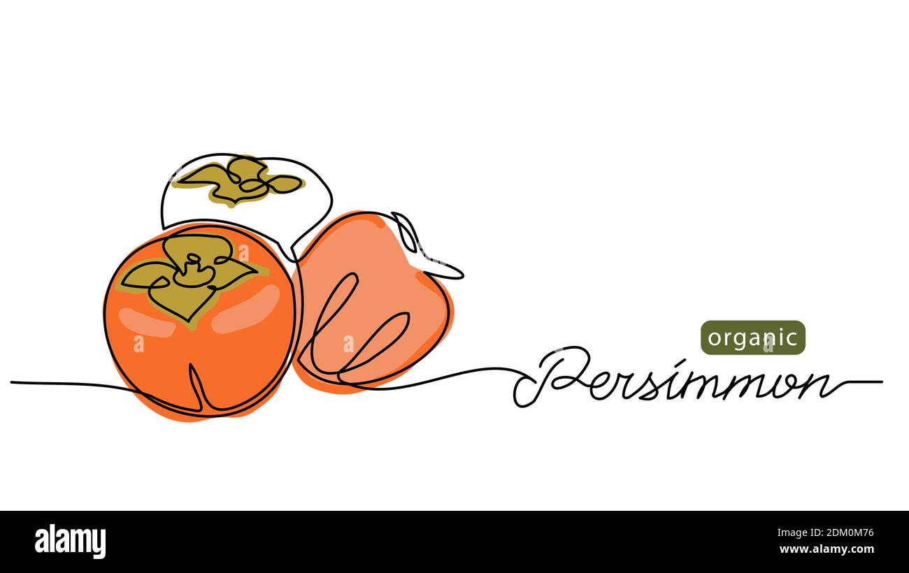 Persimmon fruits sketch vector illustration for label, background. One ...