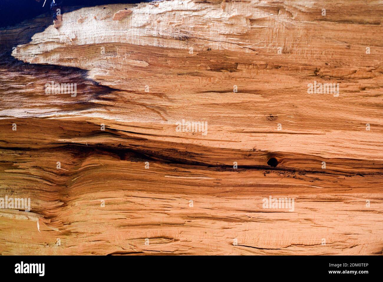 Raw hardwood texture. Raw hardwood texture Stock Photo - Alamy
