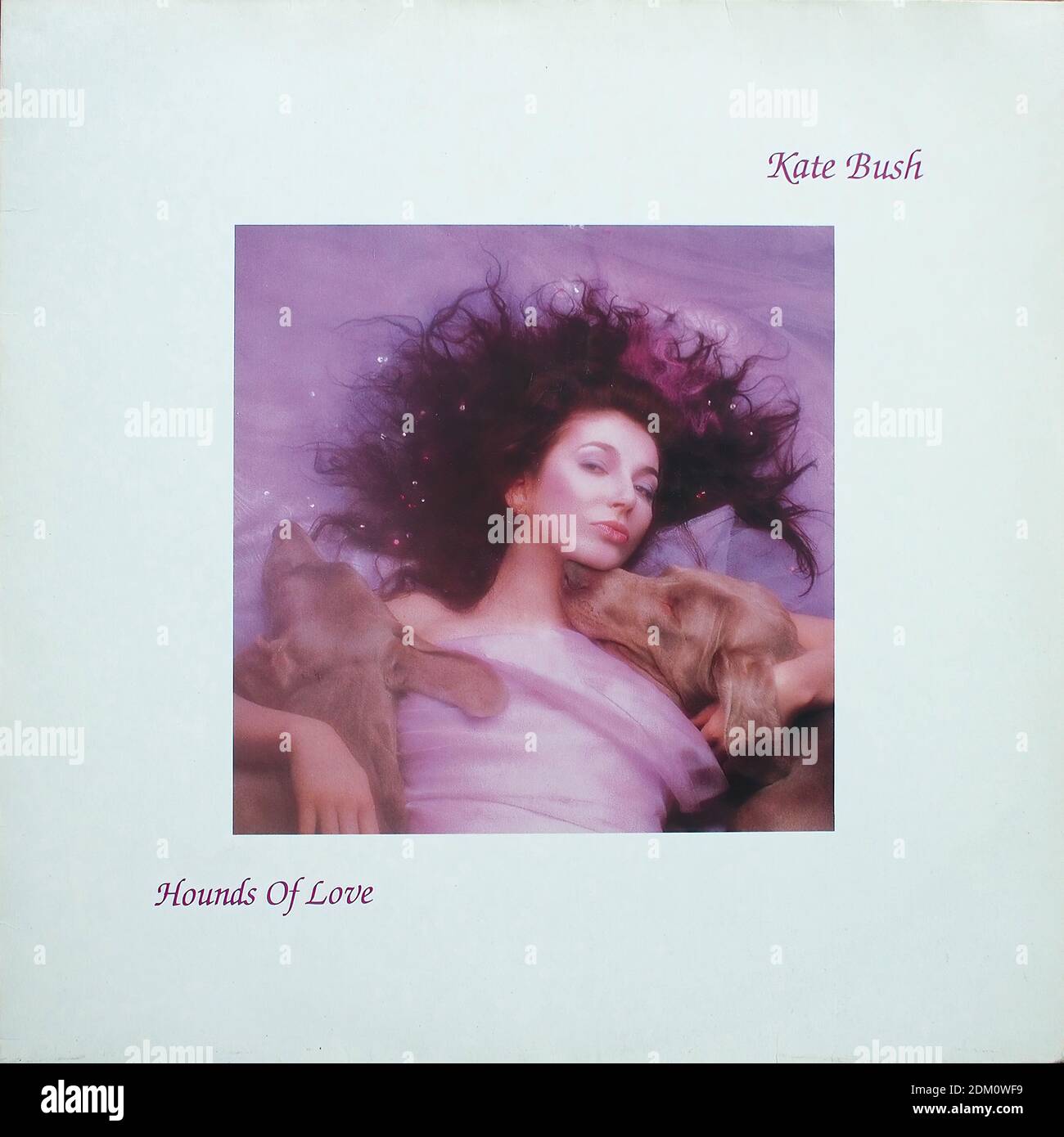 Kate bush and cover hi-res stock photography and images - Alamy