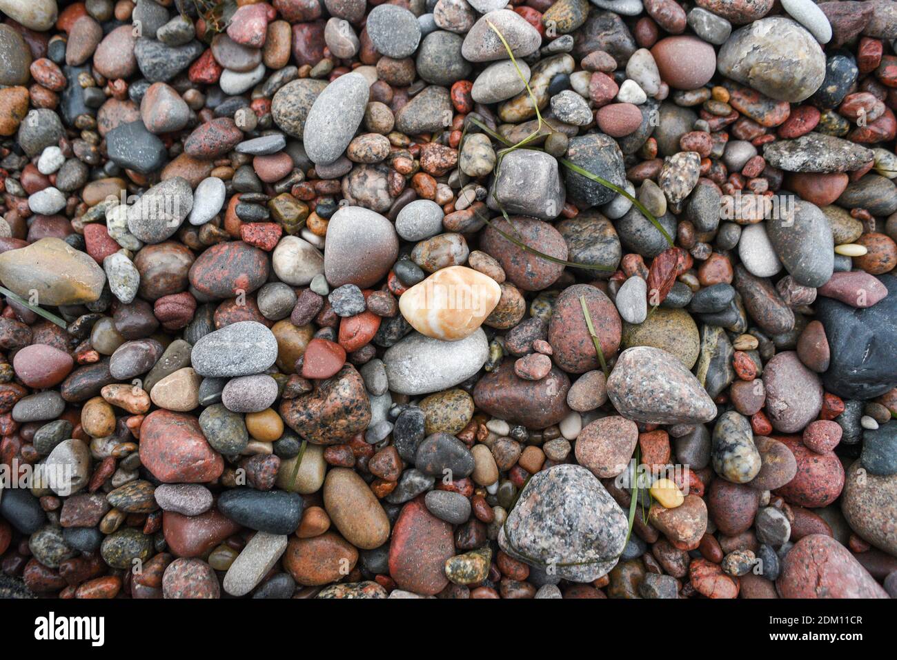 Texture of stones on the beach on the coast of the Baltic Sea Stock ...