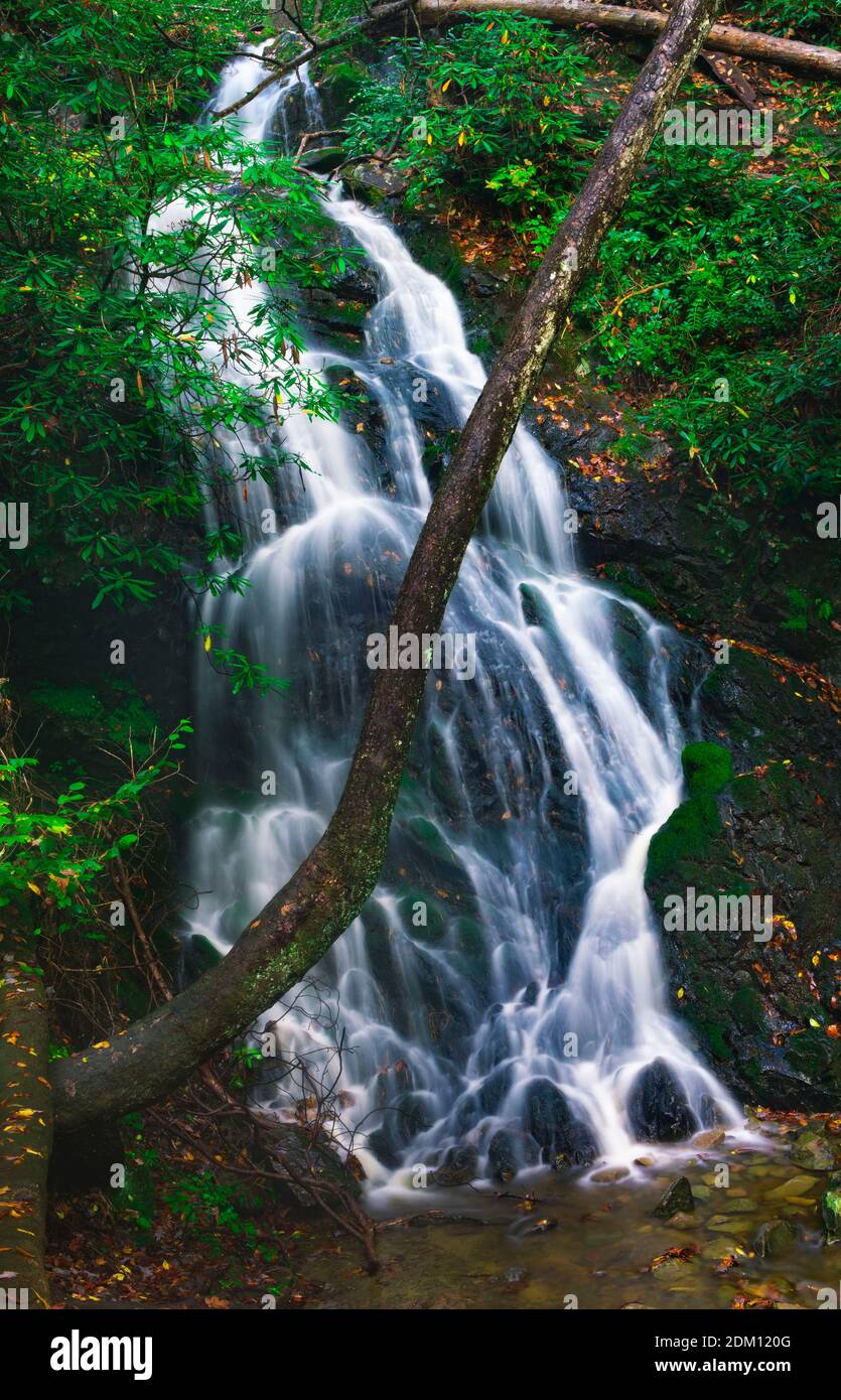 Beautiful Waterfall In Natural Green Forest Stock Photo - Alamy