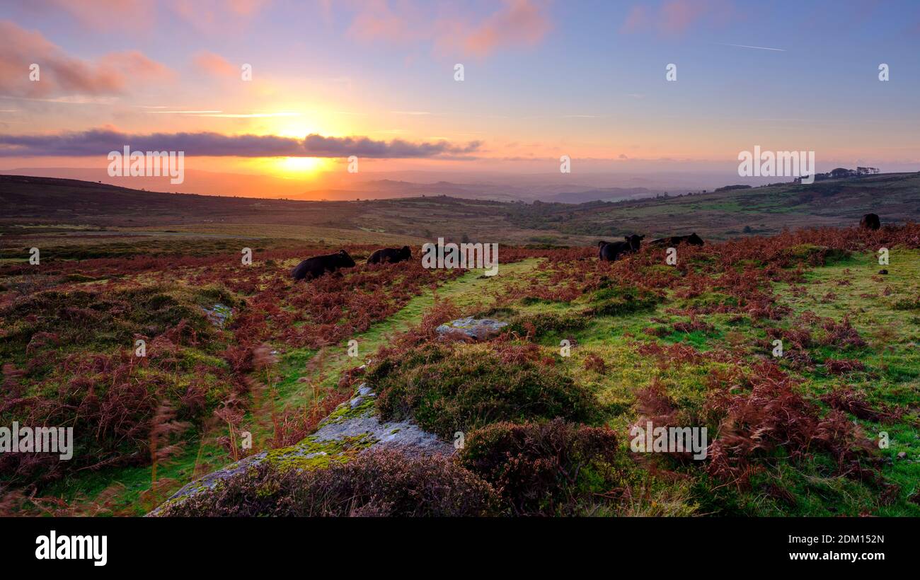 Haytor dartmoor hi-res stock photography and images - Alamy
