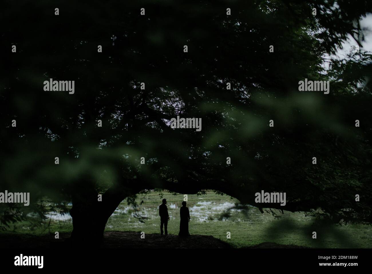 Visual culture hi-res stock photography and images - Alamy