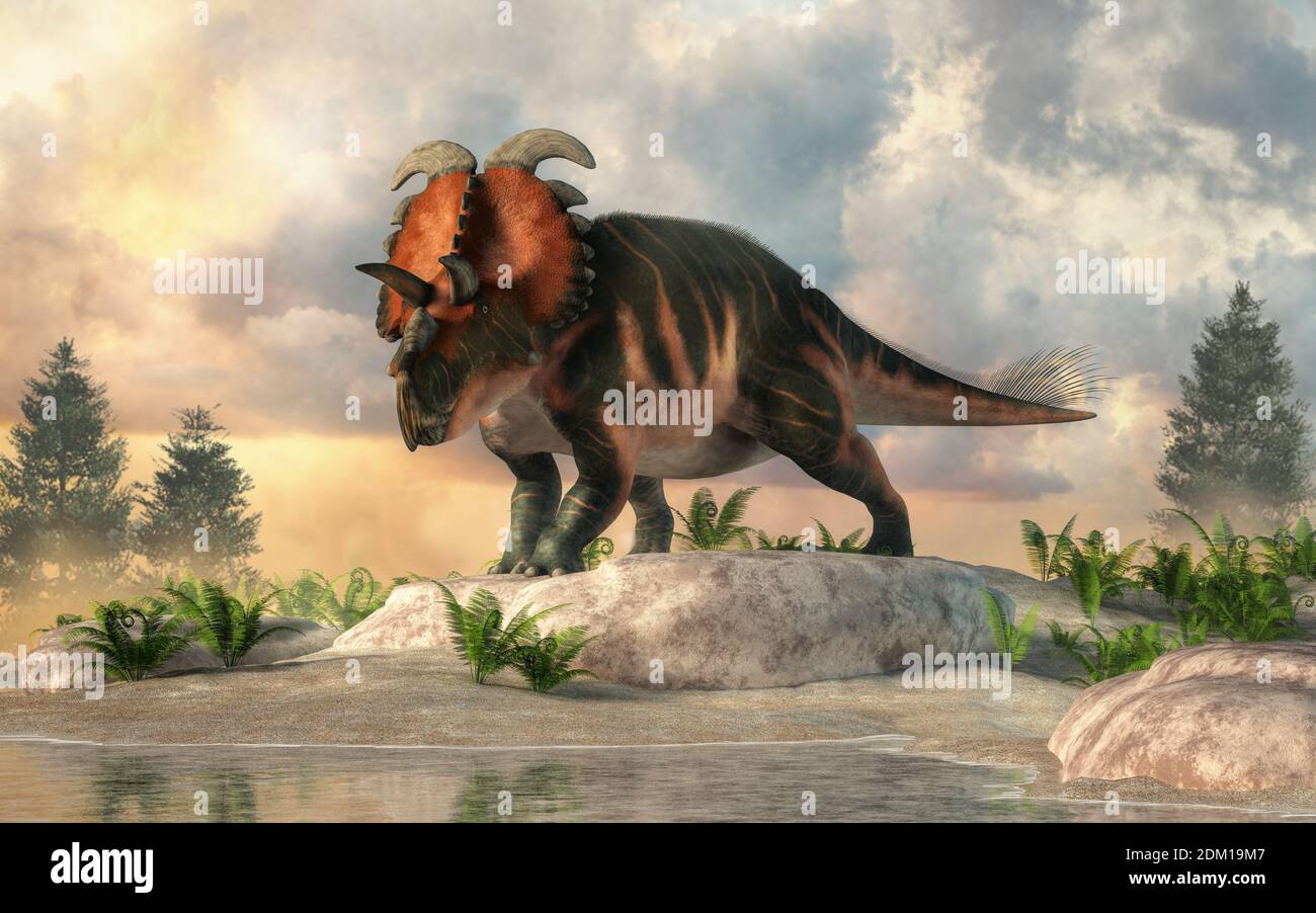 Dinosaur Triceratops Family