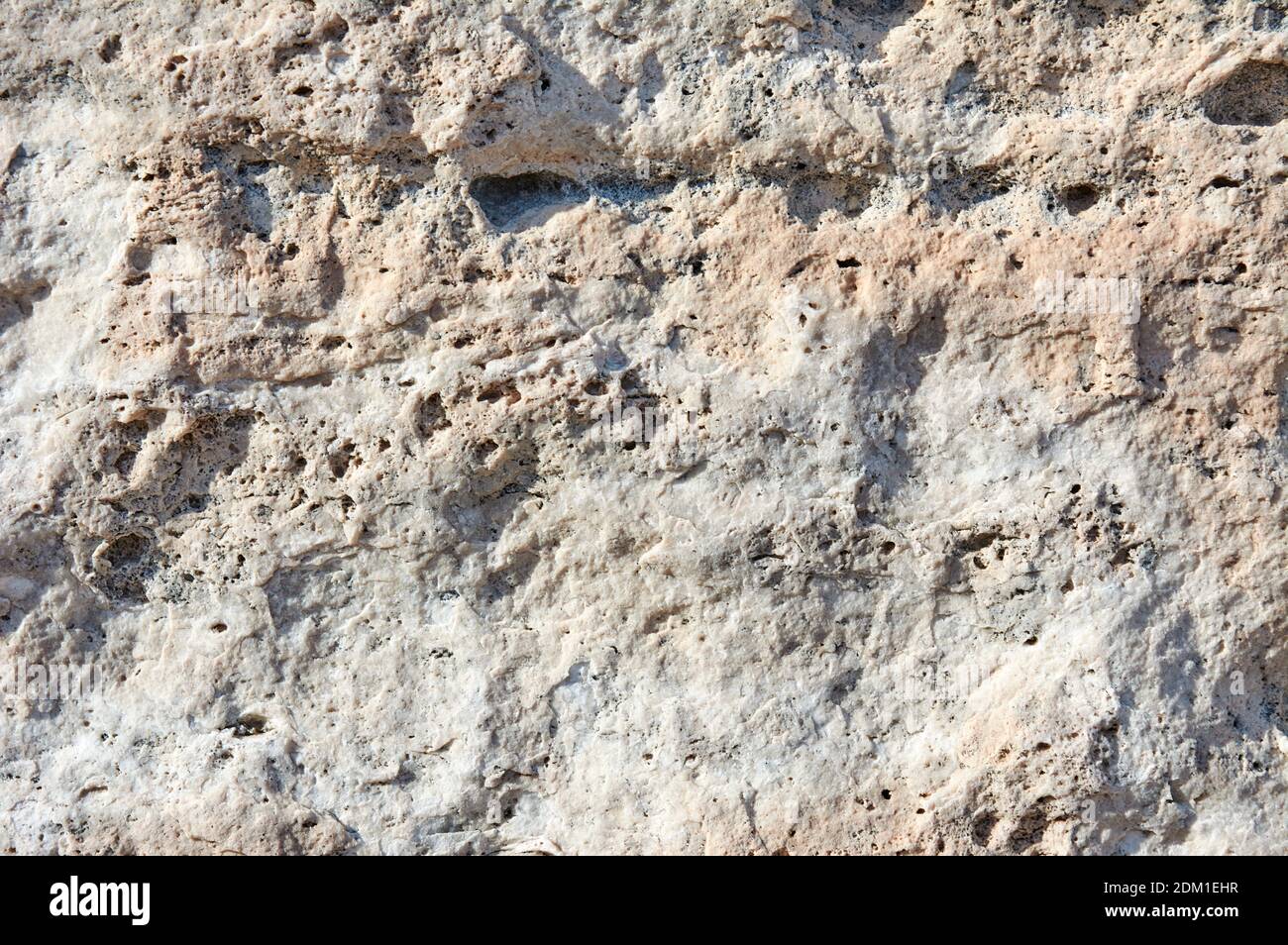 Textured stone, sandstone, limestone surface. Close image. Stone ...