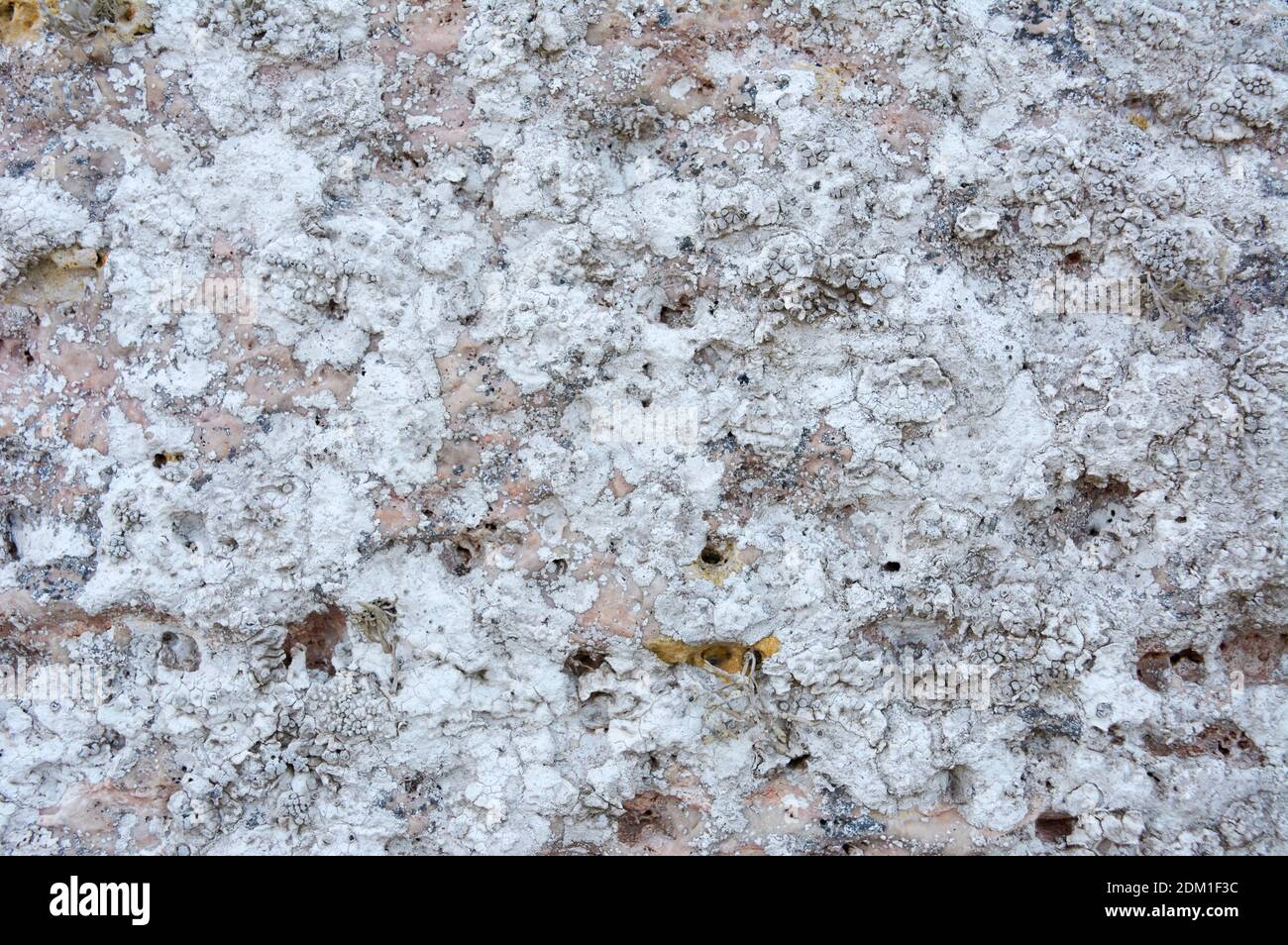 Textured stone, sandstone, limestone surface. Close image. Stone ...