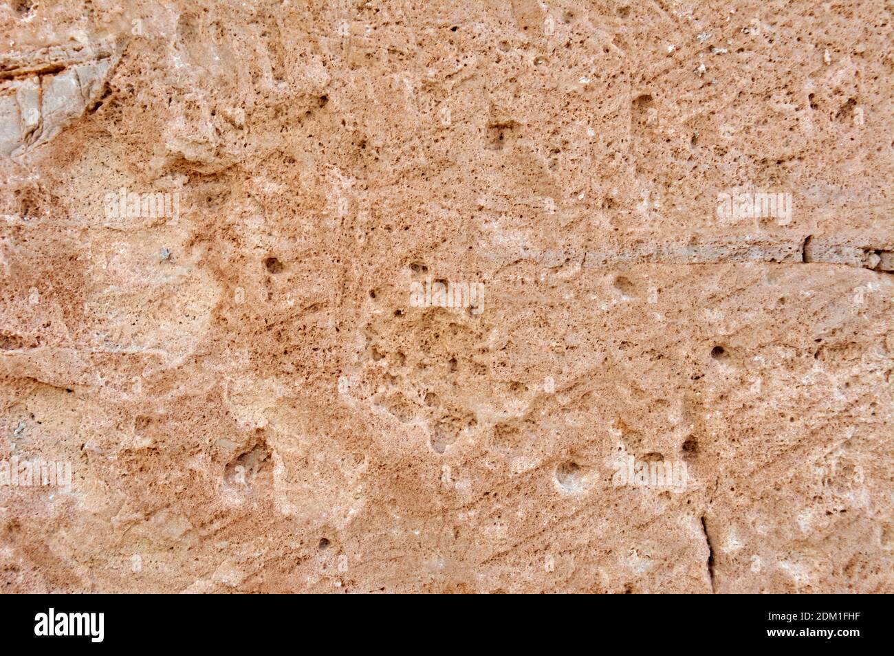 Textured stone, sandstone, limestone surface. Close image. Stone ...