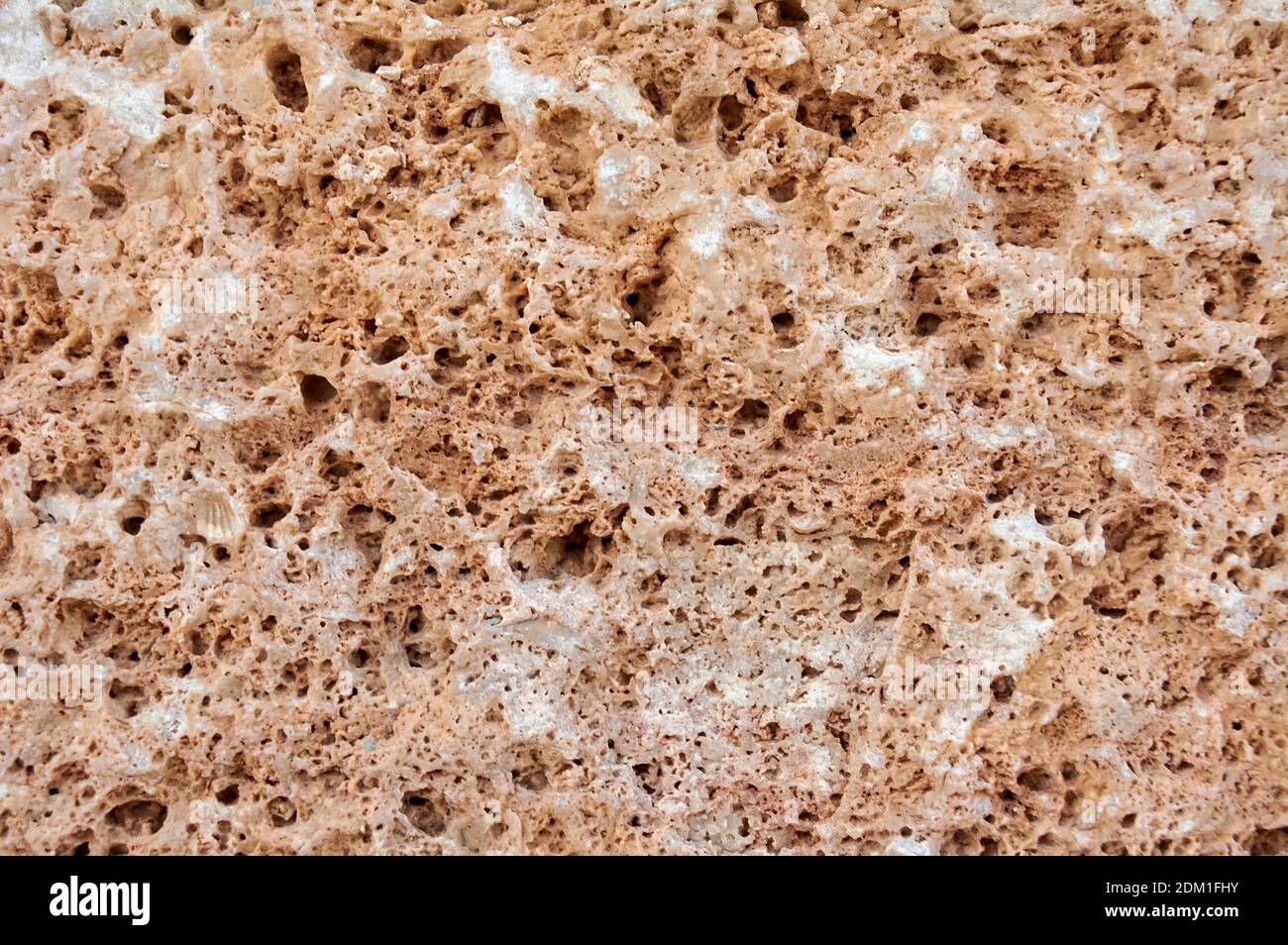 Textured stone, sandstone, limestone surface. Close image. Stone ...