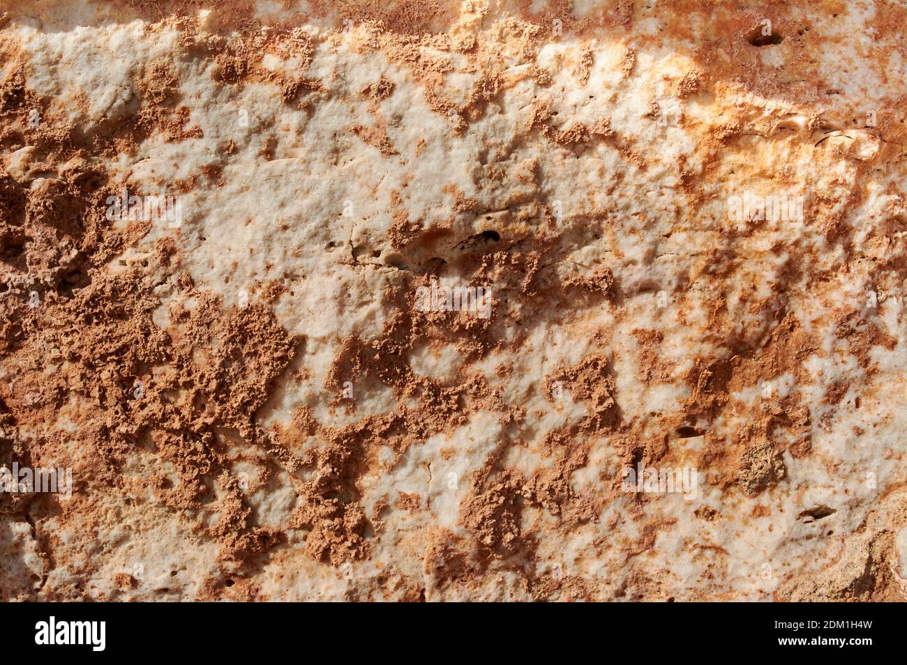 Textured stone, sandstone, limestone surface. Close image. Stone ...
