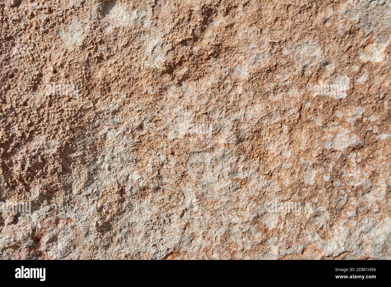 Textured stone, sandstone, limestone surface. Close image. Stone ...