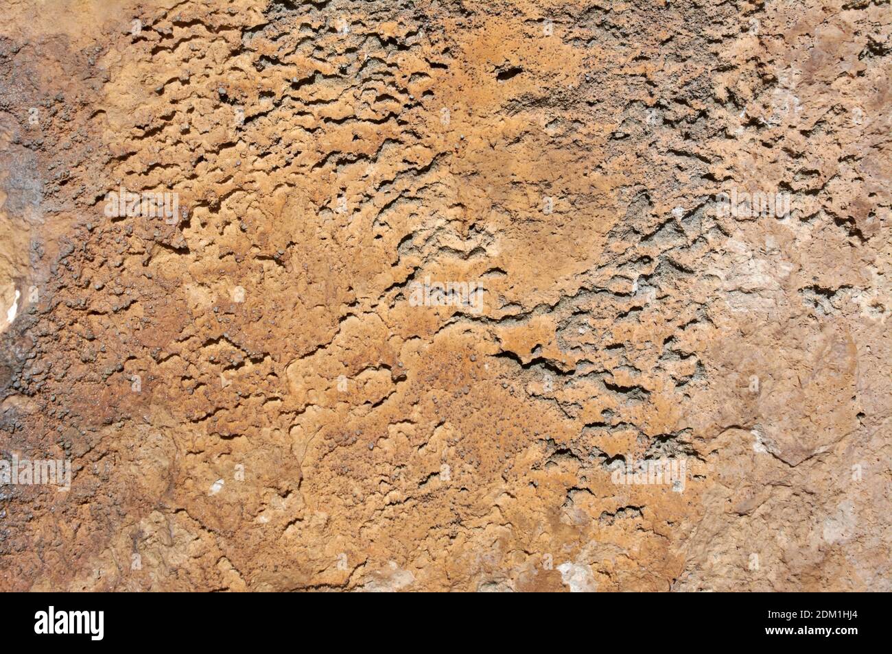 Textured stone, sandstone, limestone surface. Close image. Stone ...
