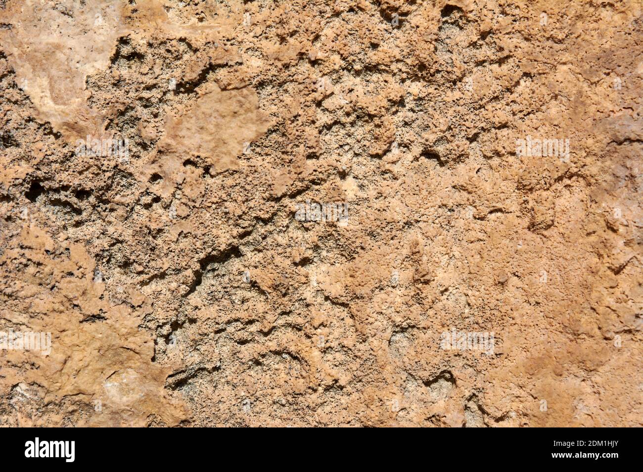 Textured stone, sandstone, limestone surface. Close image. Stone ...