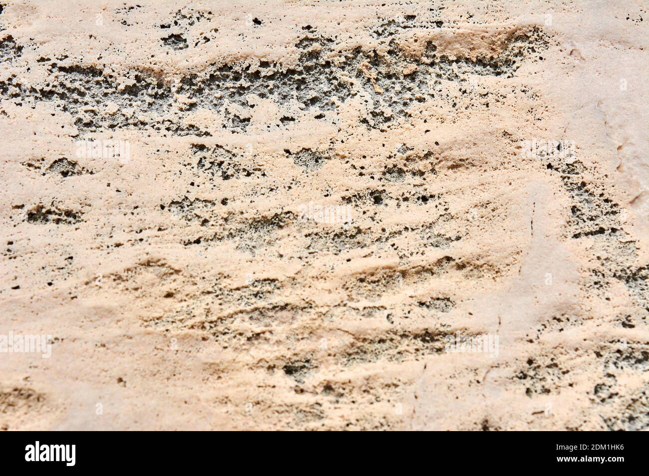 Textured stone, sandstone, limestone surface. Close image. Stone ...