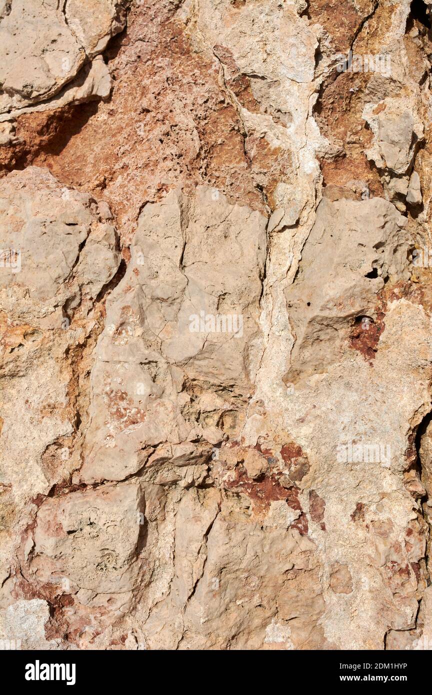 Textured stone, sandstone, limestone surface. Close image. Stone ...
