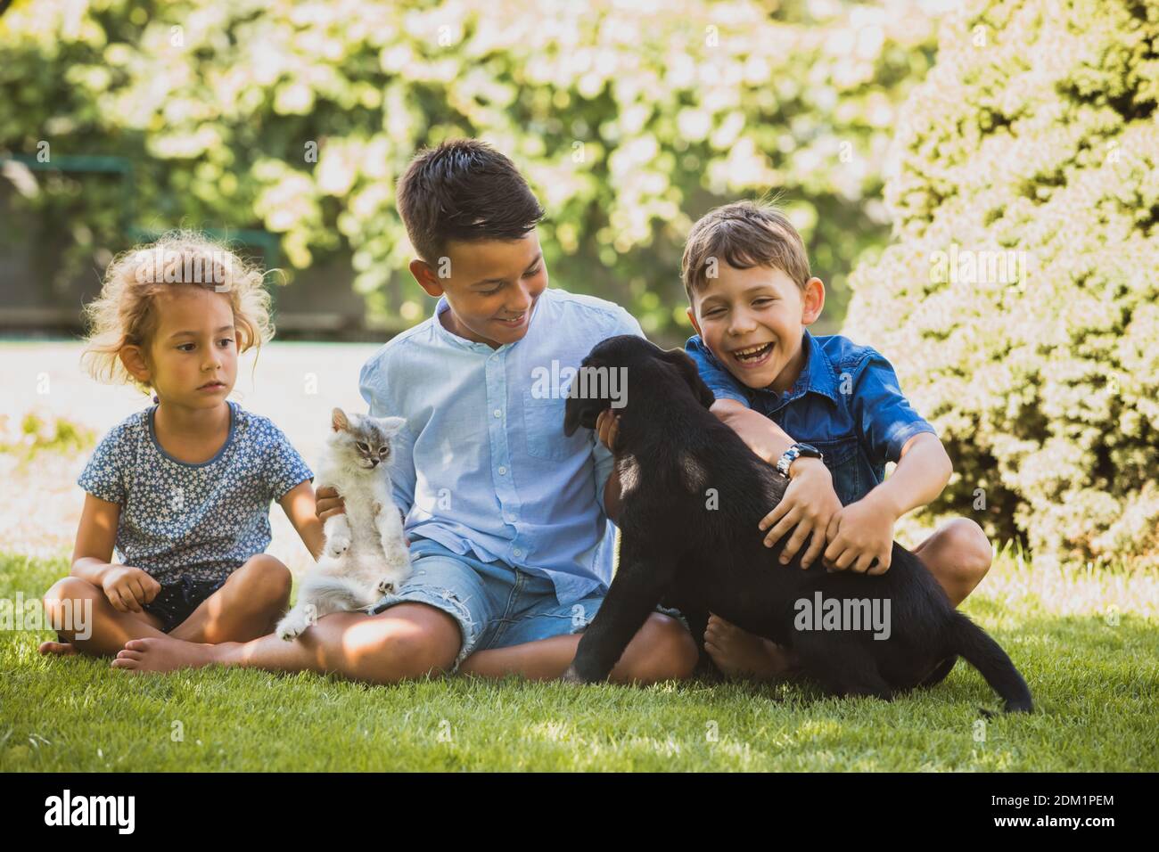 Children play with their pets hi-res stock photography and images - Alamy