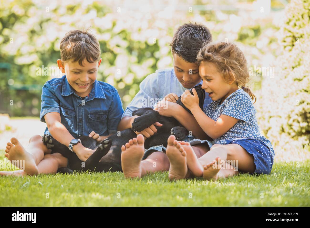 The first meeting of children with a new pet Stock Photo - Alamy