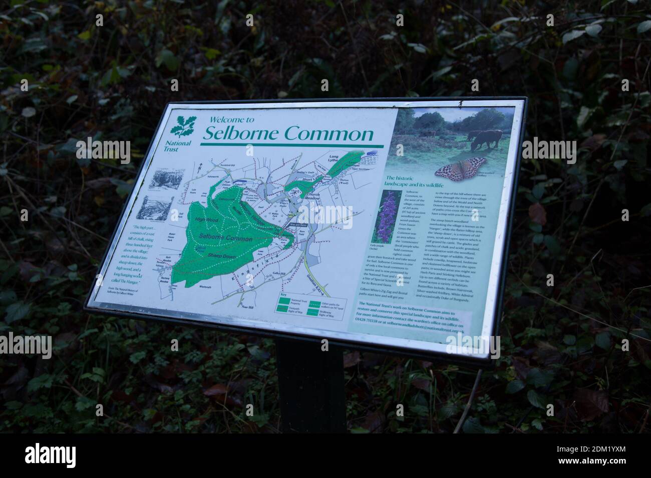 Map of the south downs hi-res stock photography and images - Alamy