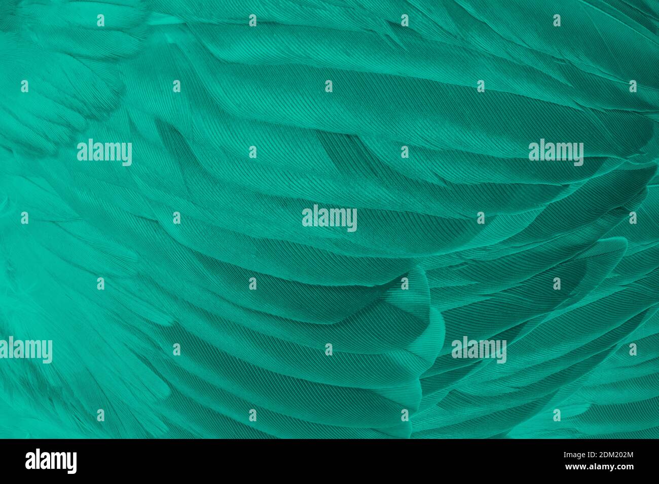 Viridian Color High Resolution Stock Photography and Images - Alamy