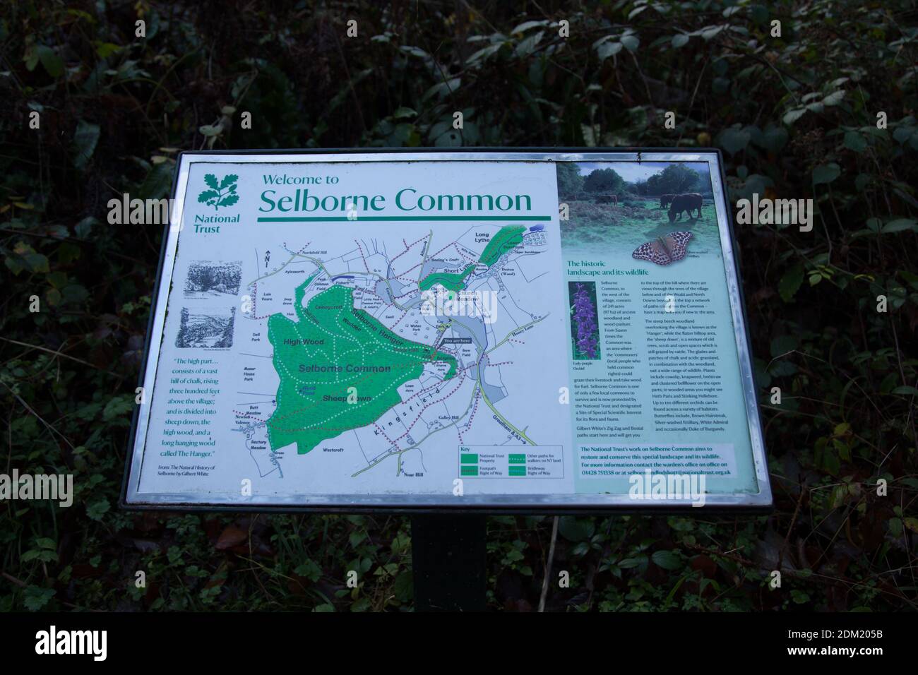 Map of the south downs hi-res stock photography and images - Alamy