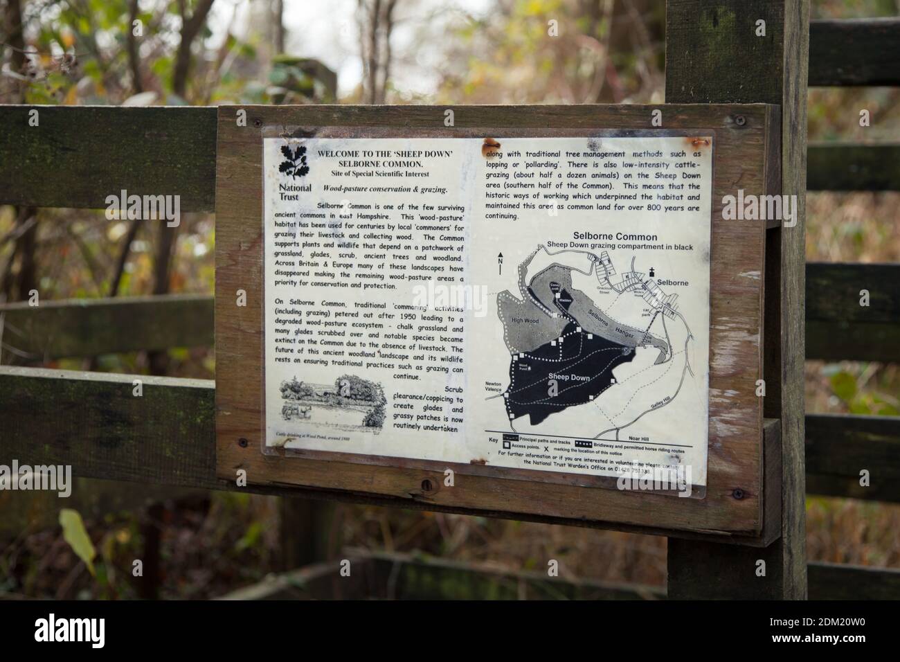 Sheep Down, Selborne Common sign on forest gate, Site of Special ...