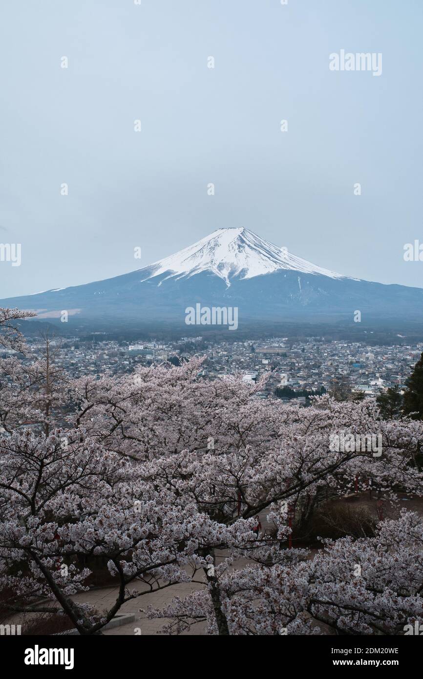 A vertical shot of the magnificent Mount Fuji captured in Japan Stock ...