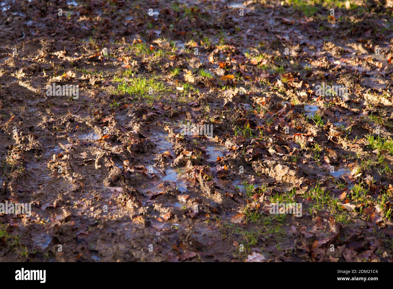 Muddy Footprints High Resolution Stock Photography and Images - Alamy