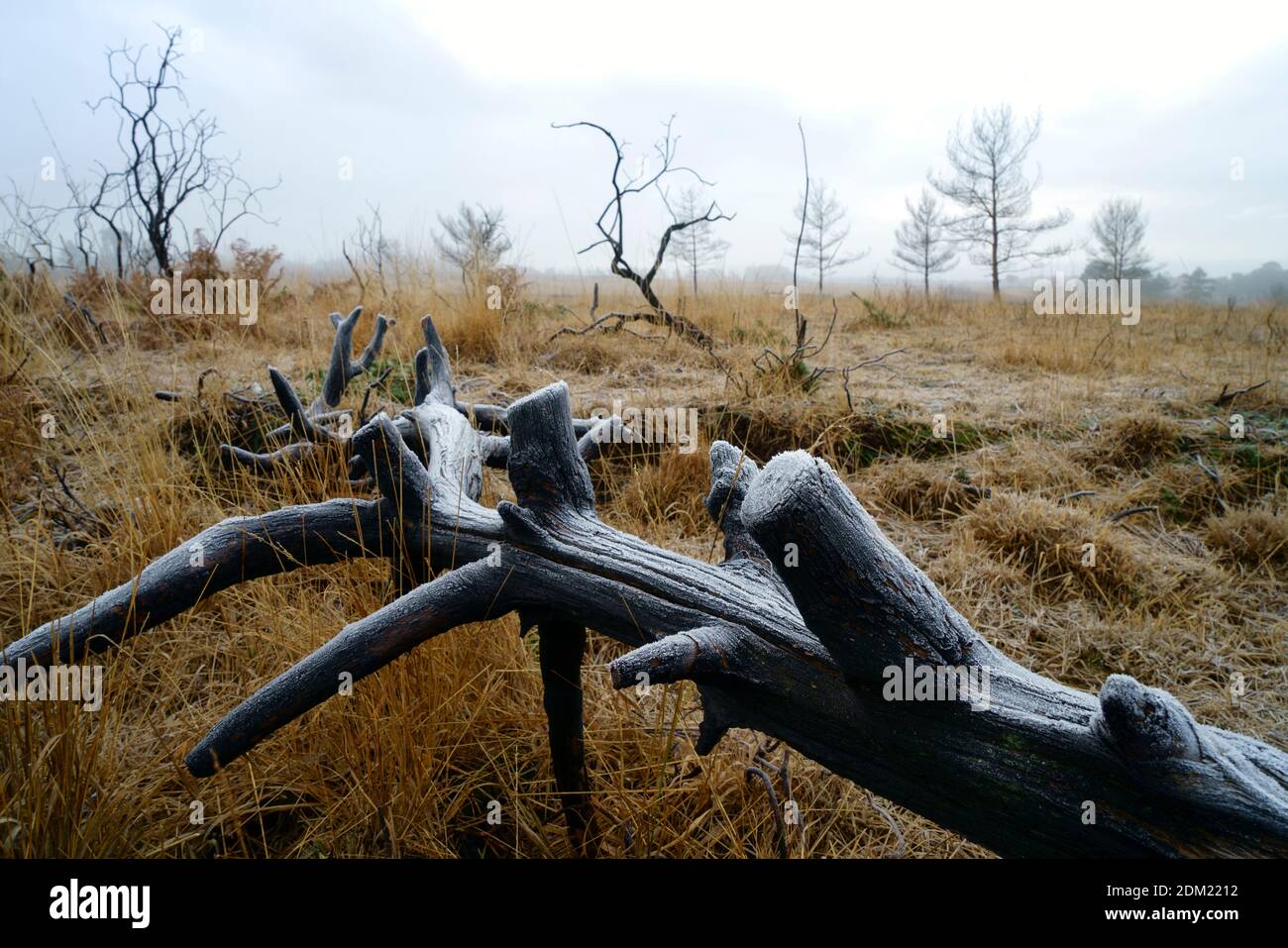 Hoar frost uk landscape hi-res stock photography and images - Alamy