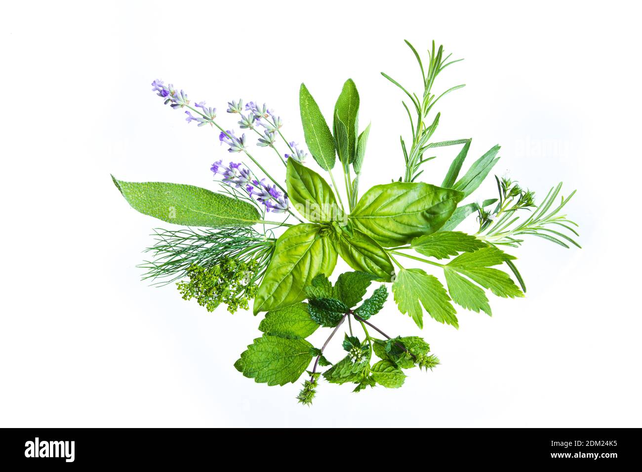 Combination of flavoures and tastes in unusual herbal bouquet Stock ...