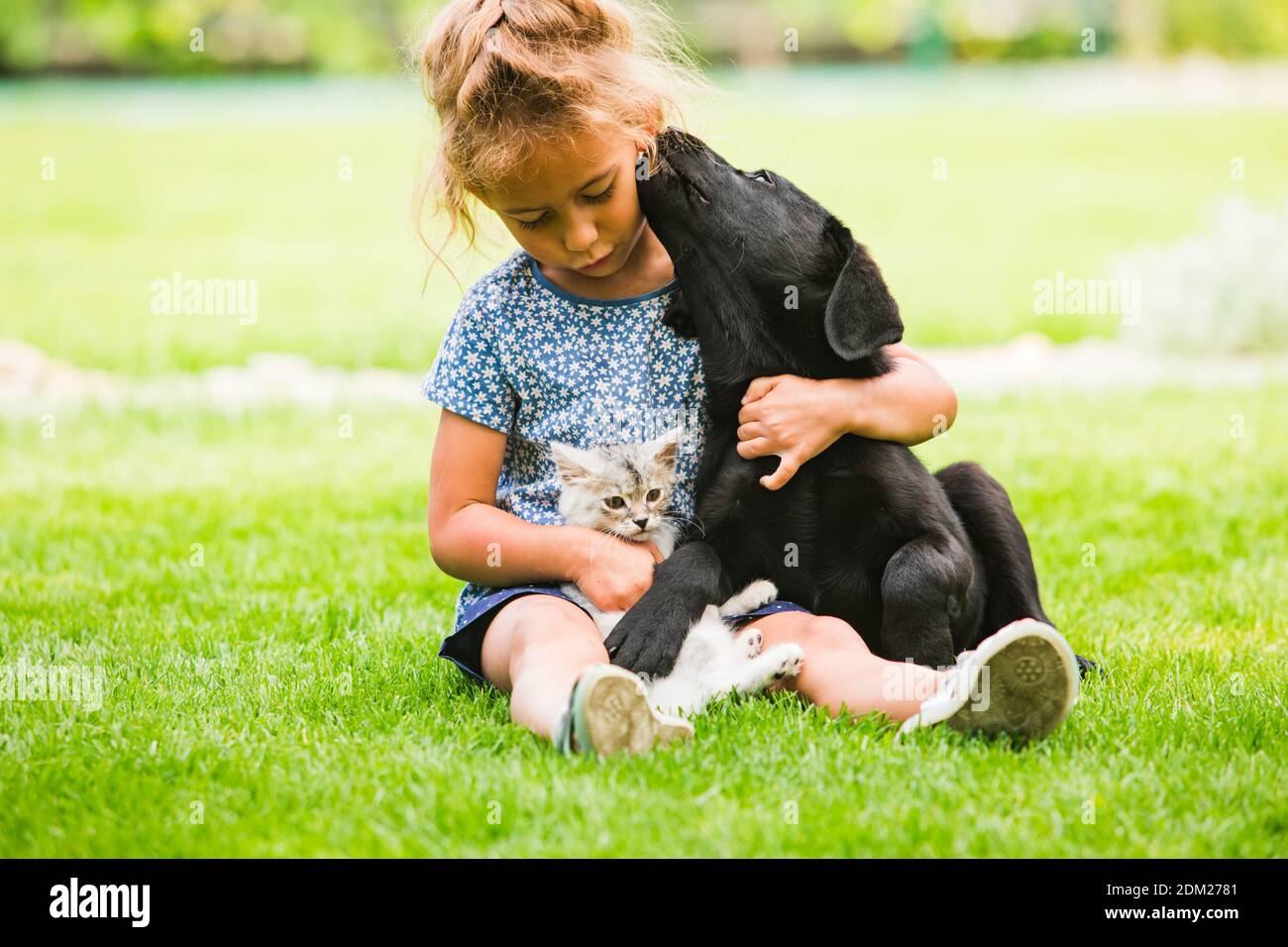Domestic animals love and appreciate their young owners Stock Photo - Alamy
