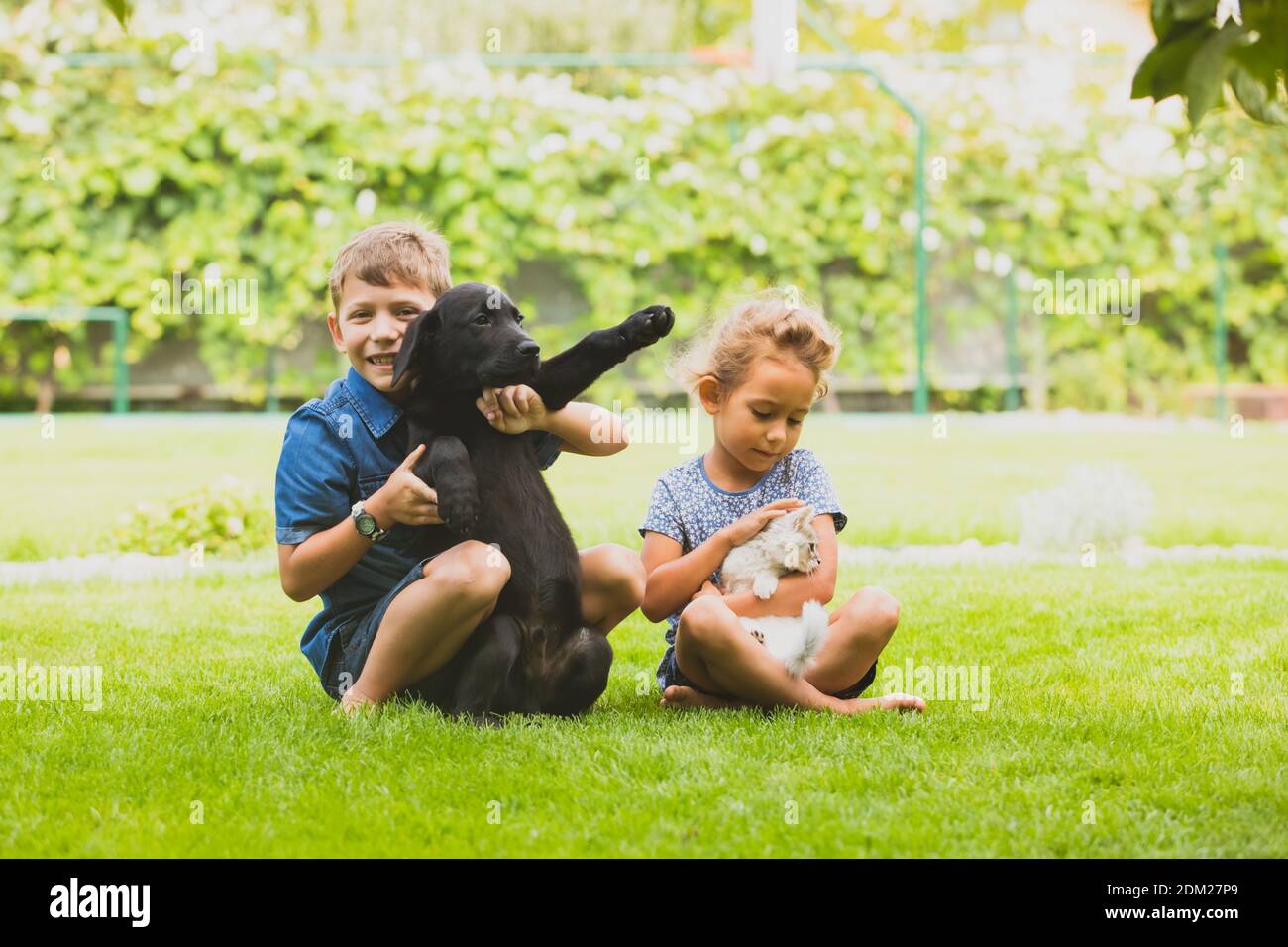 Children learning to be caring and loving pet's owners Stock Photo - Alamy