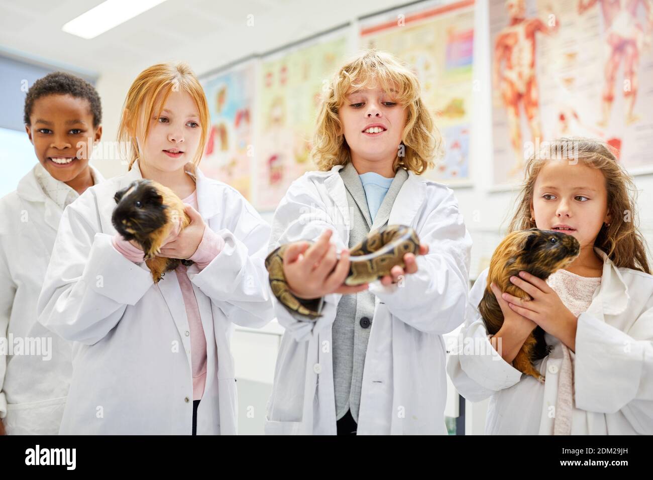 10 animals hi-res stock photography and images - Alamy