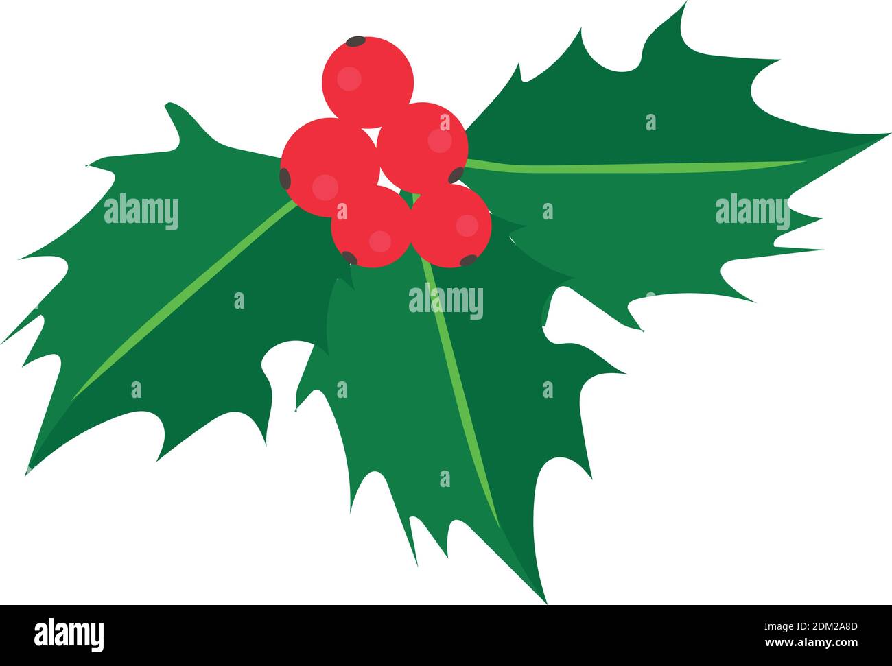 Isolated christmas holly icon. Christmas season. Vector illustration ...