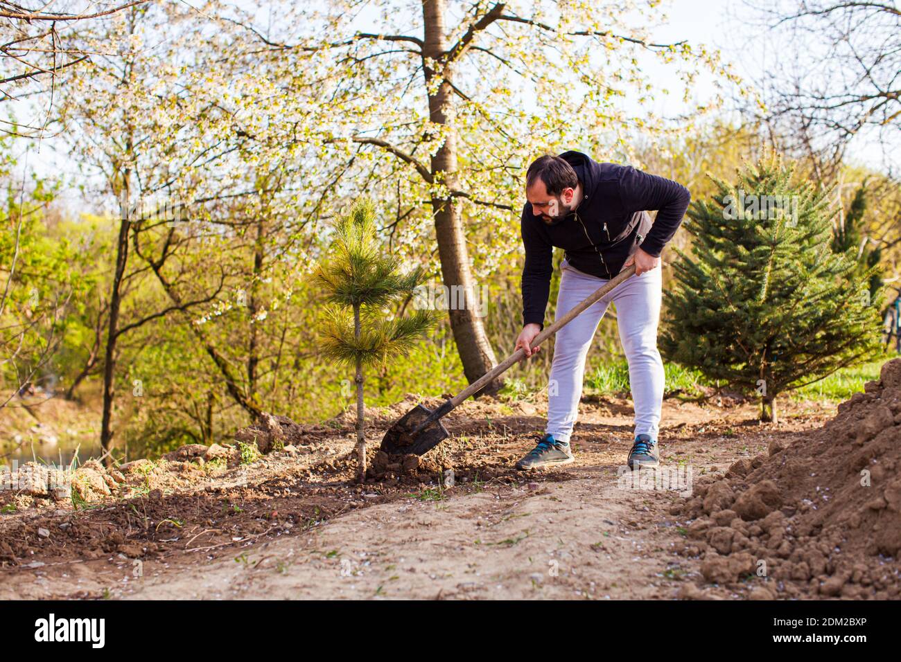 Arranging backyard in recently bought family house Stock Photo - Alamy