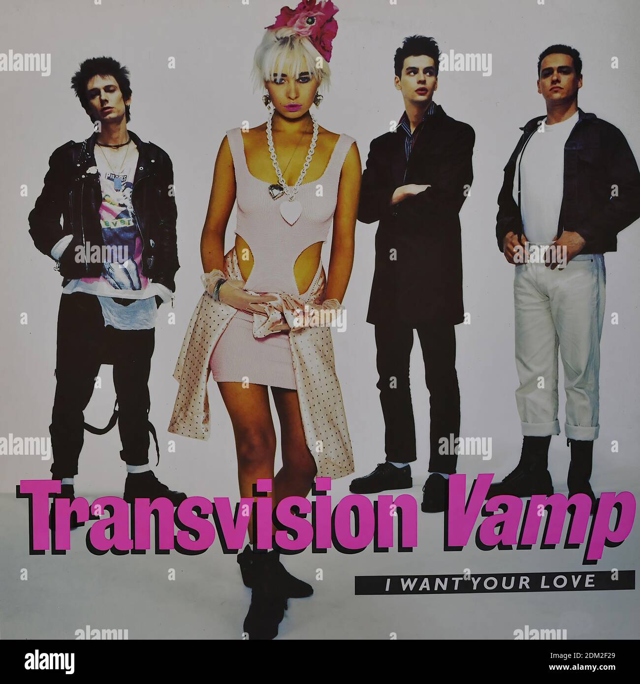 Transvision vamp hi-res stock photography and images - Alamy