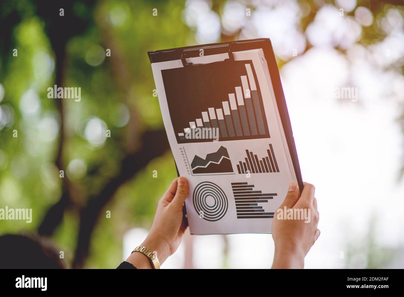 Tree chart hi-res stock photography and images - Alamy