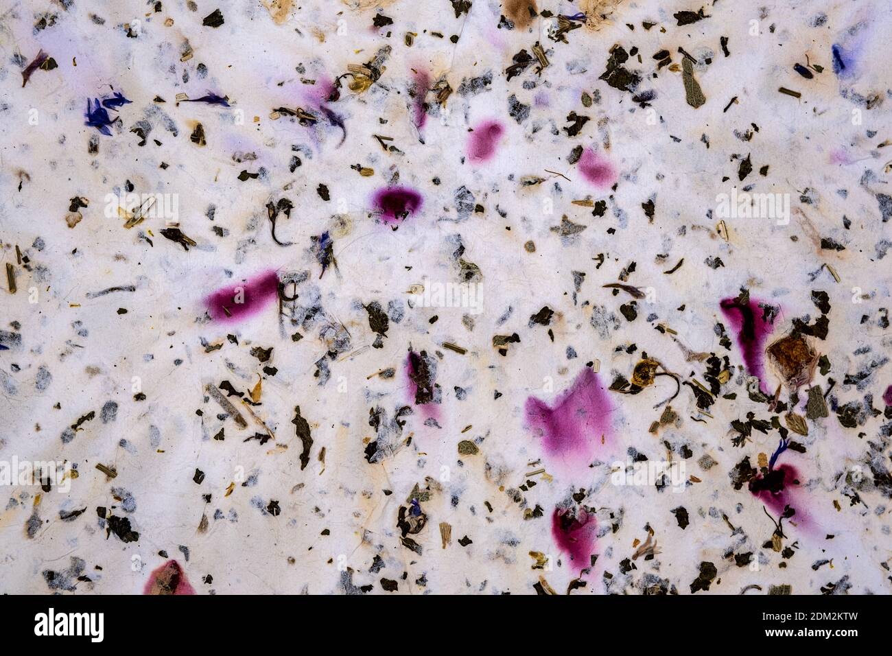 white handmade paper with petals and herbs Stock Photo - Alamy