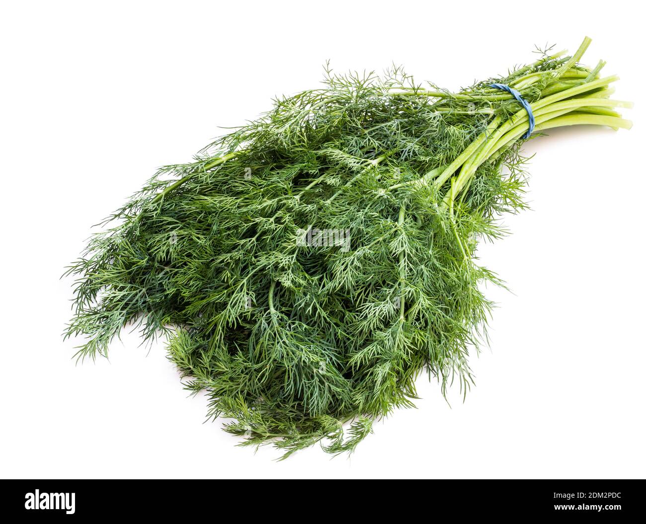 Bunch of fresh green dill isolated on white Stock Photo - Alamy