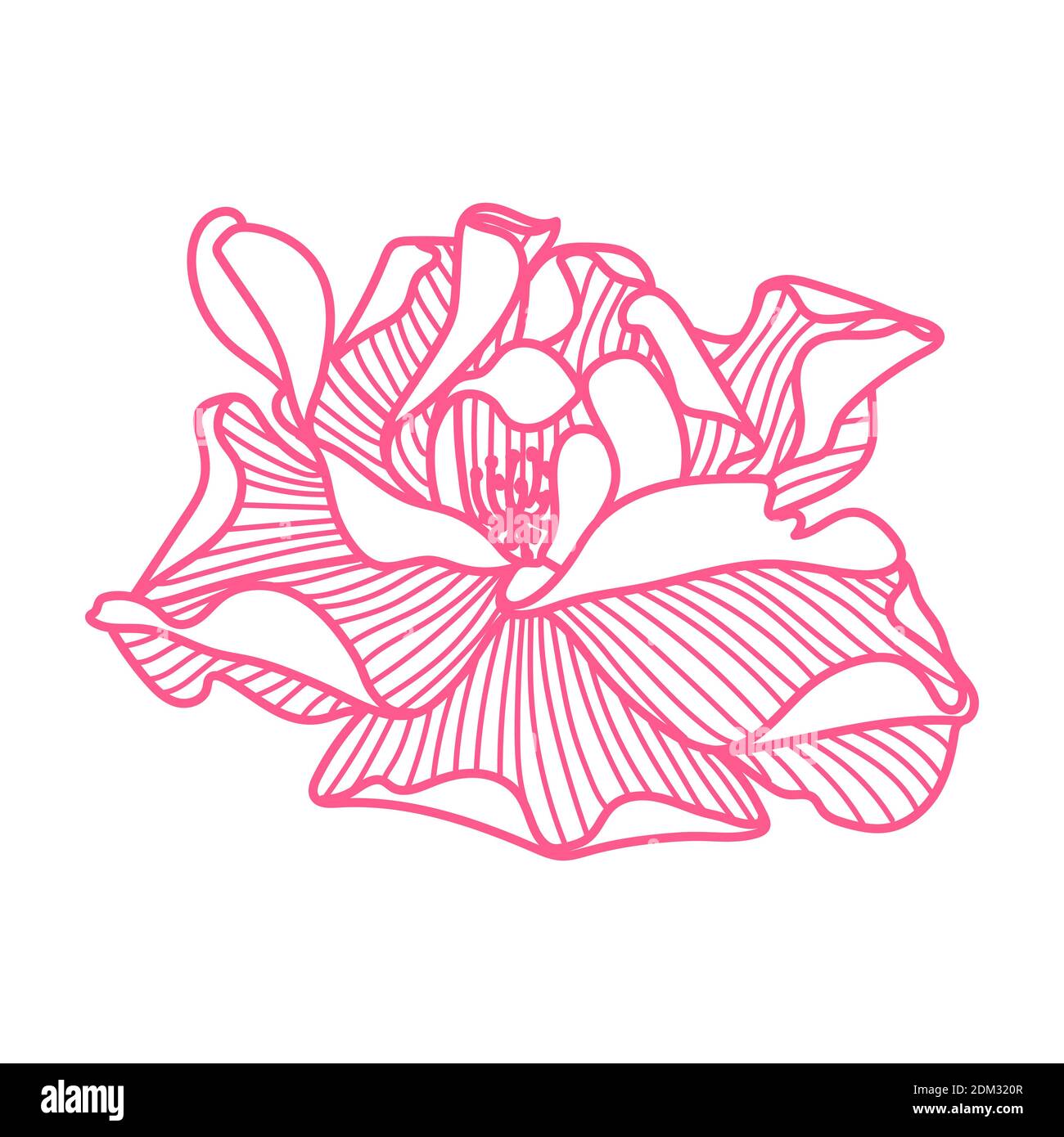 Wild pink rose bud Stock Vector Images - Alamy