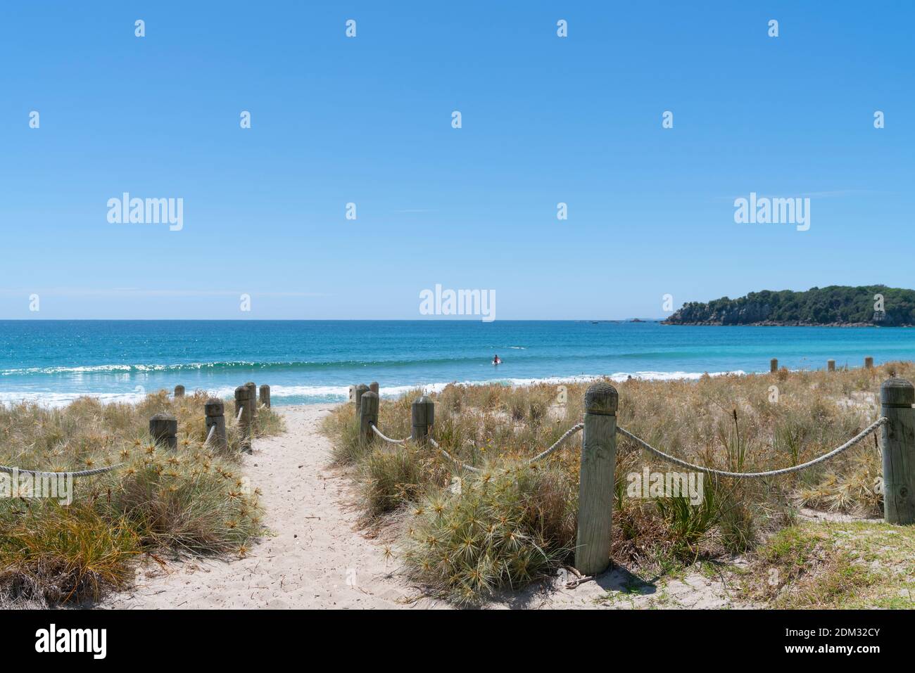 Bollards and ropes line sand track through beach vegetation and dunes ...