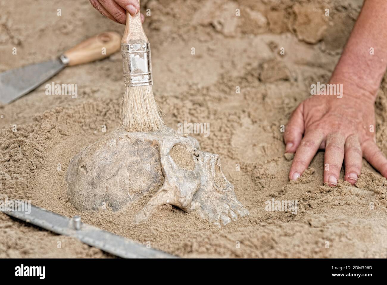 Prehistoric ancient food container hi-res stock photography and images ...