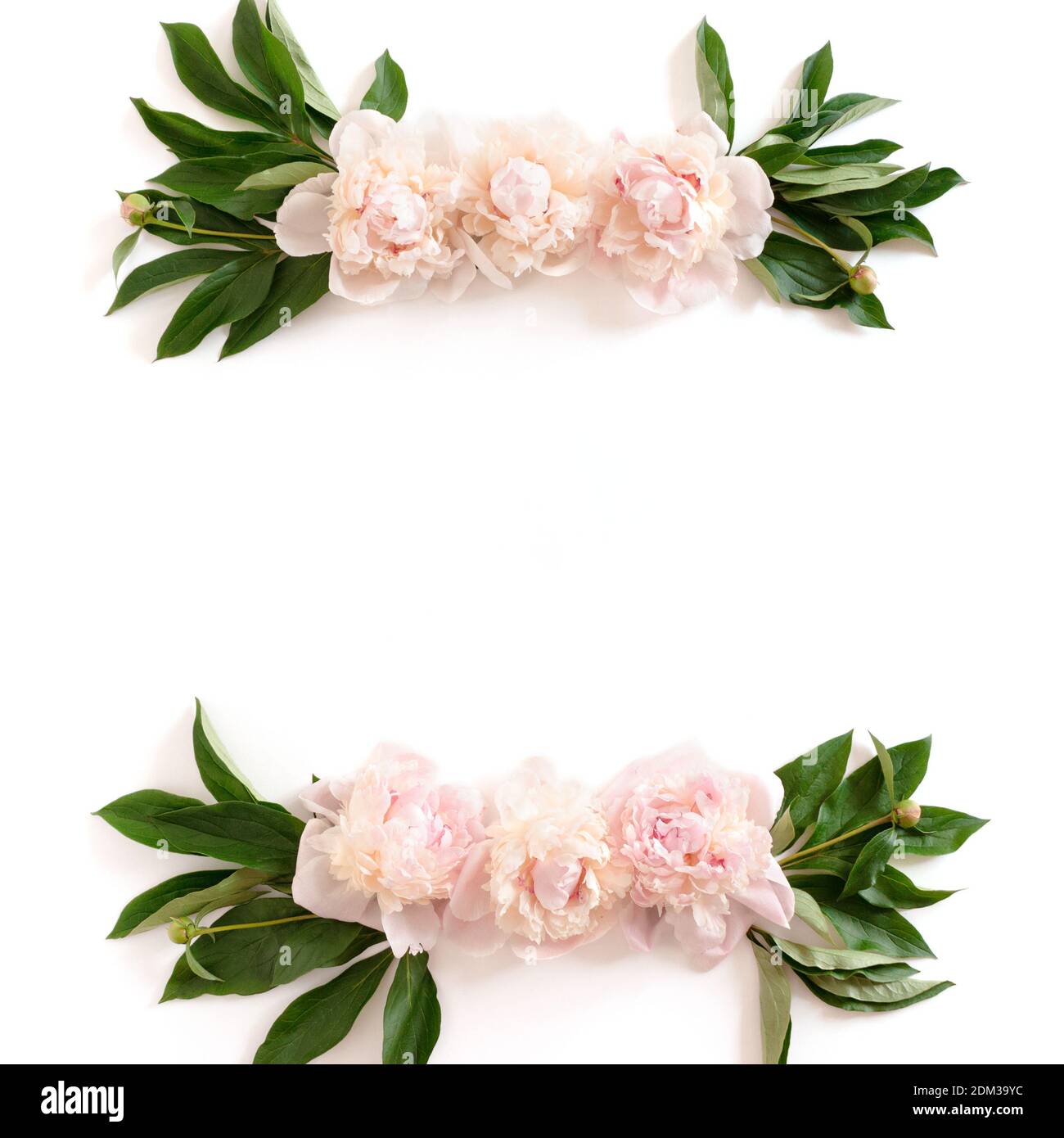 Green frame mock up Cut Out Stock Images & Pictures - Alamy