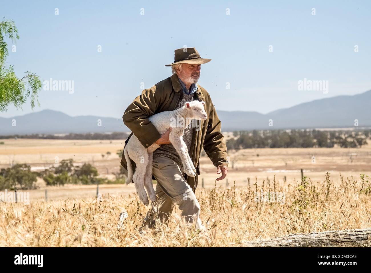 Sam Neill in a scene from ©Samuel Goldwyn Films new film: Rams (2020 ...
