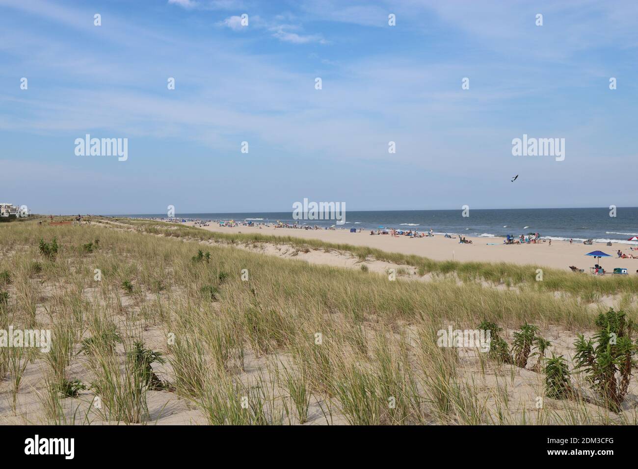 Landscape view of a beach in Long Beach Island in the middle of the ...