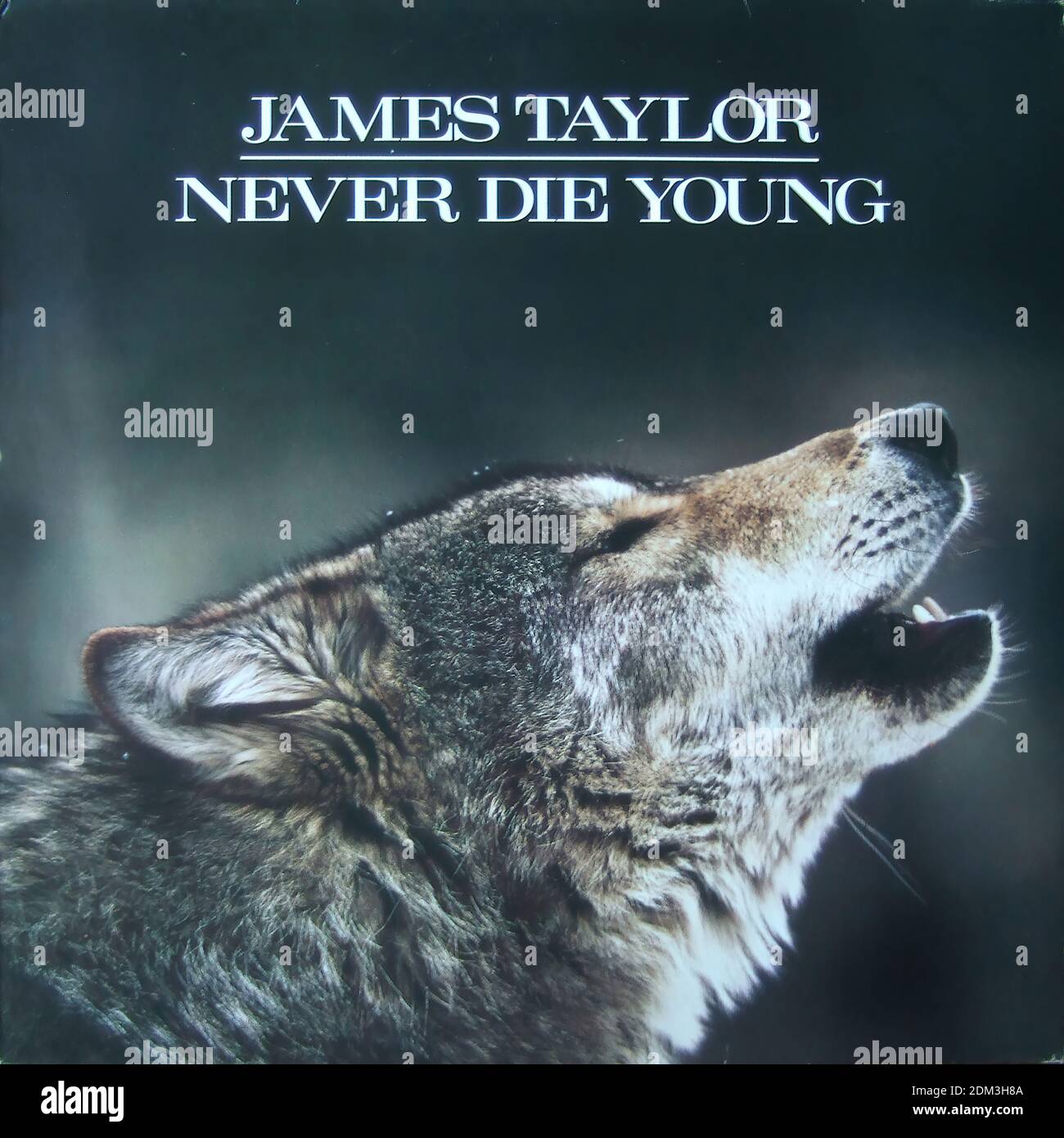 James Taylor Album Covers