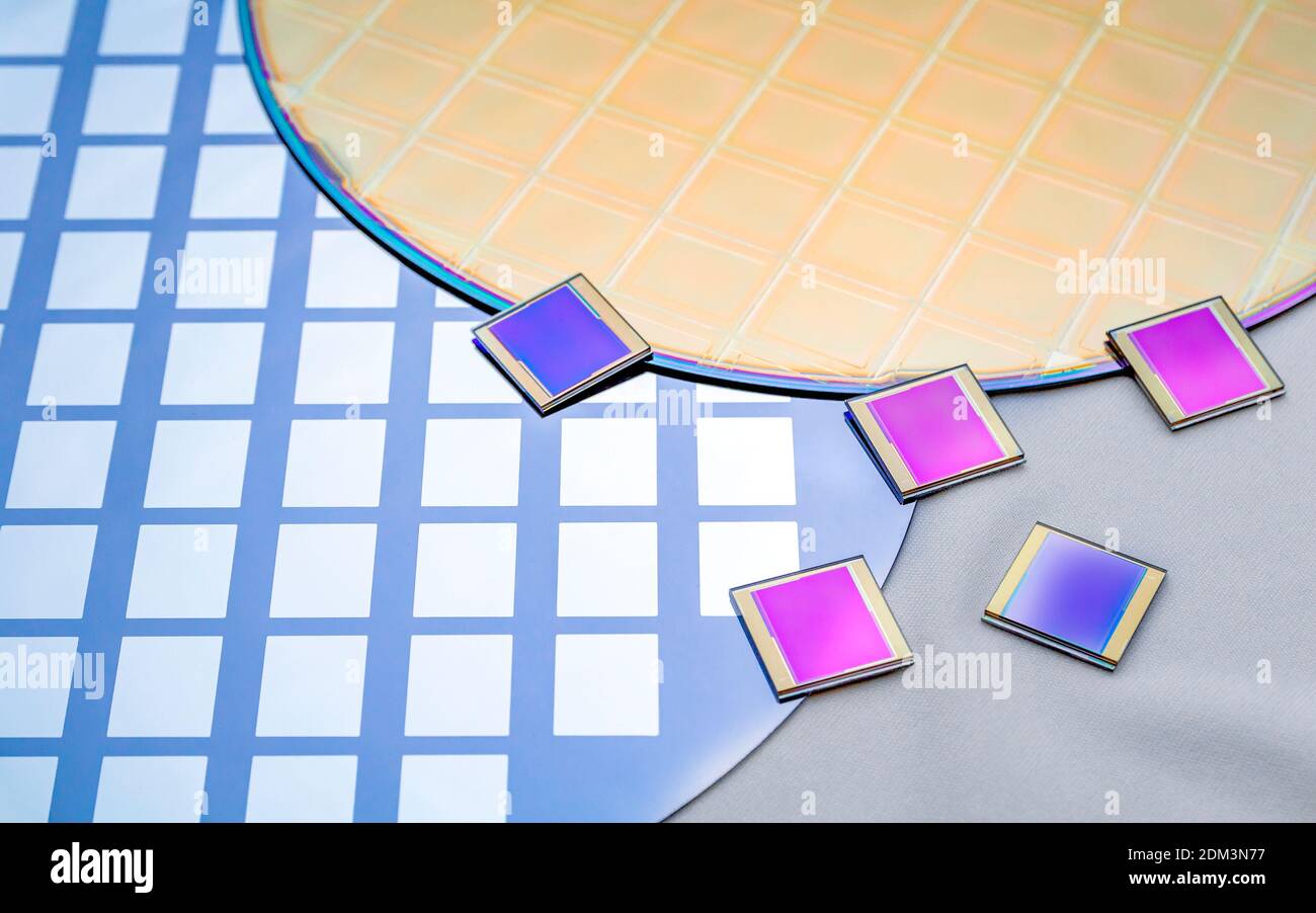Several silicon wafers with printed circuit and separate microchips ...