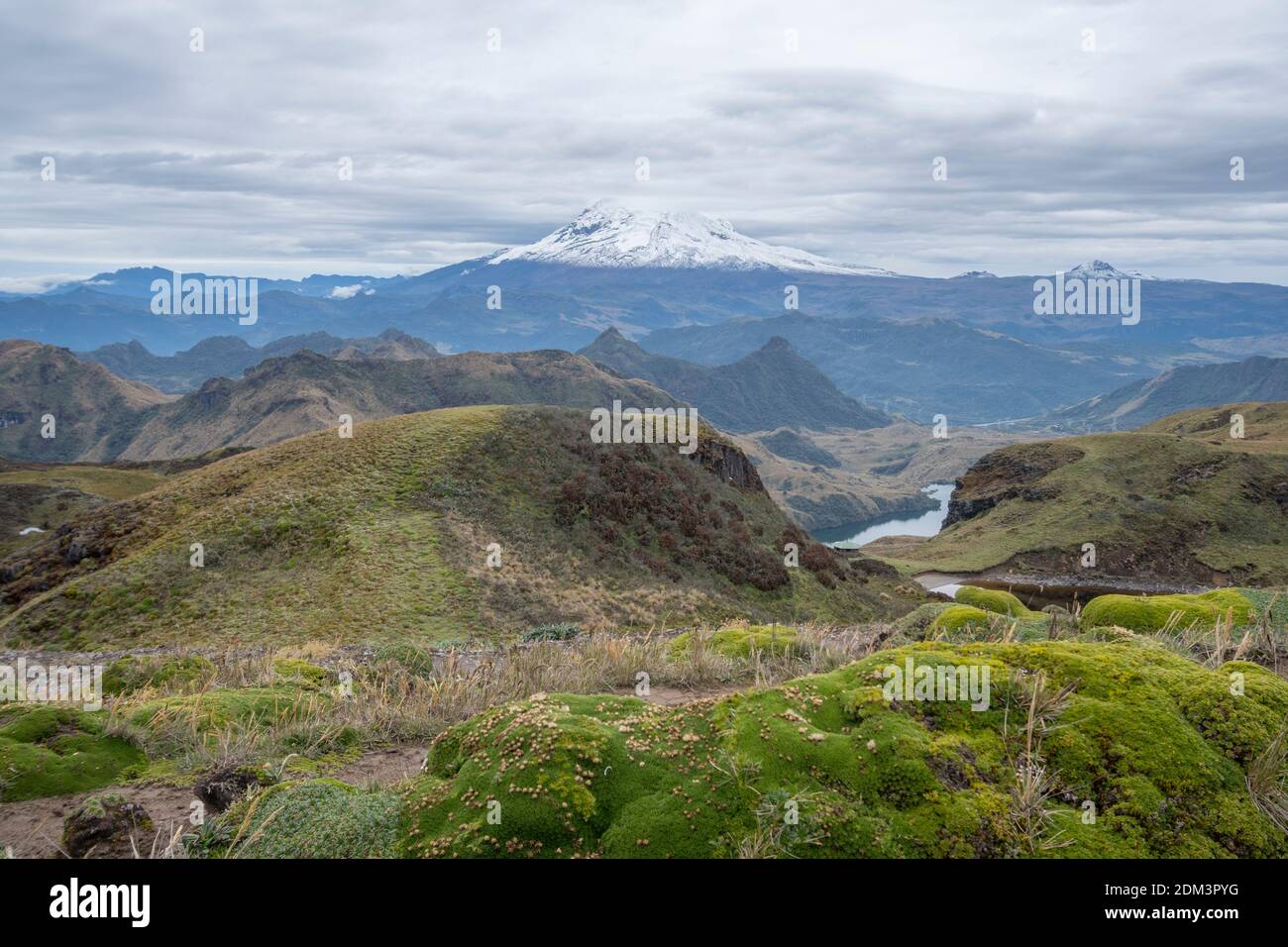 Rugged high Andean scenery at 4,200m elevation with cushion plants in ...