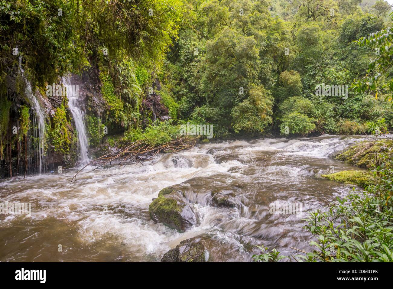 andean, andes, cascade, cliff, cloudforest, cotopaxi, ecuador, forest ...