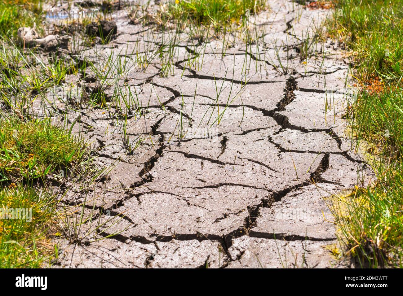 Drying mud texture hi-res stock photography and images - Alamy