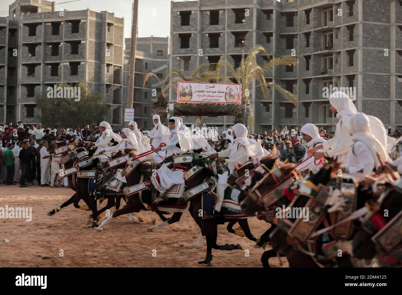Libya horses hi-res stock photography and images - Alamy